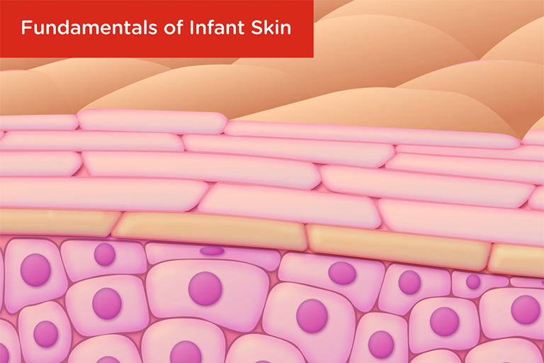 Fundamentals of Infant Skin | Huggies® Healthcare™ US